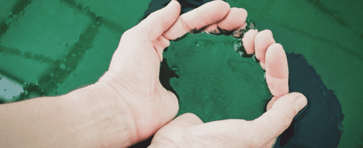 This Blue Ocean Venture in Beverages Recently Won the 39th INSEAD ...