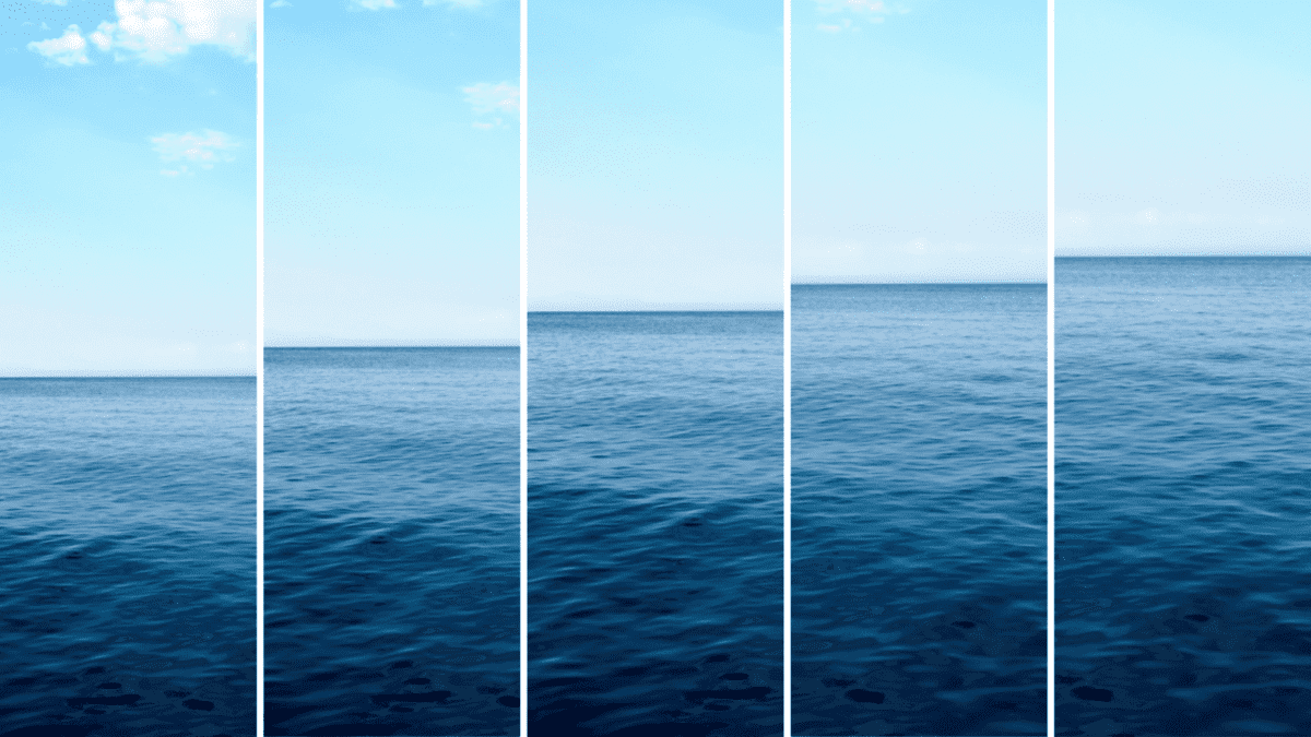 First Date Tips: How To Have A Successful First Date The Blue Ocean Way