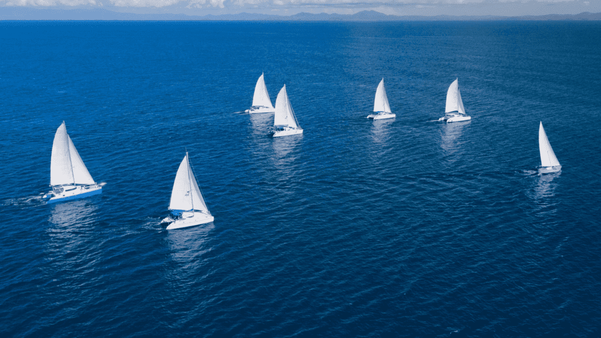 What is Blue Ocean Strategy | About Blue Ocean Strategy